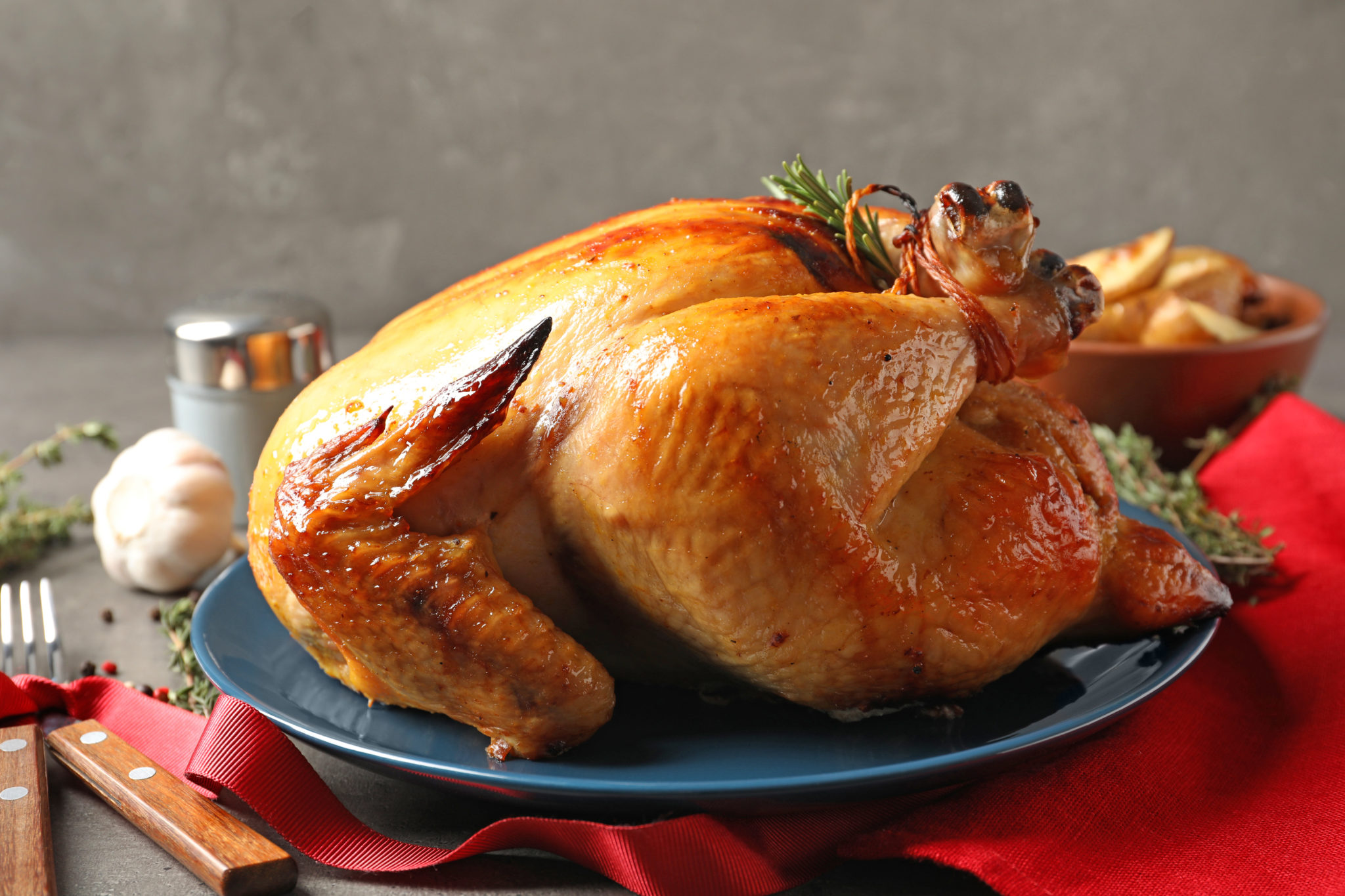 Nutripavo - Pavos al Mayoreo Calidad y Precio Garantizados